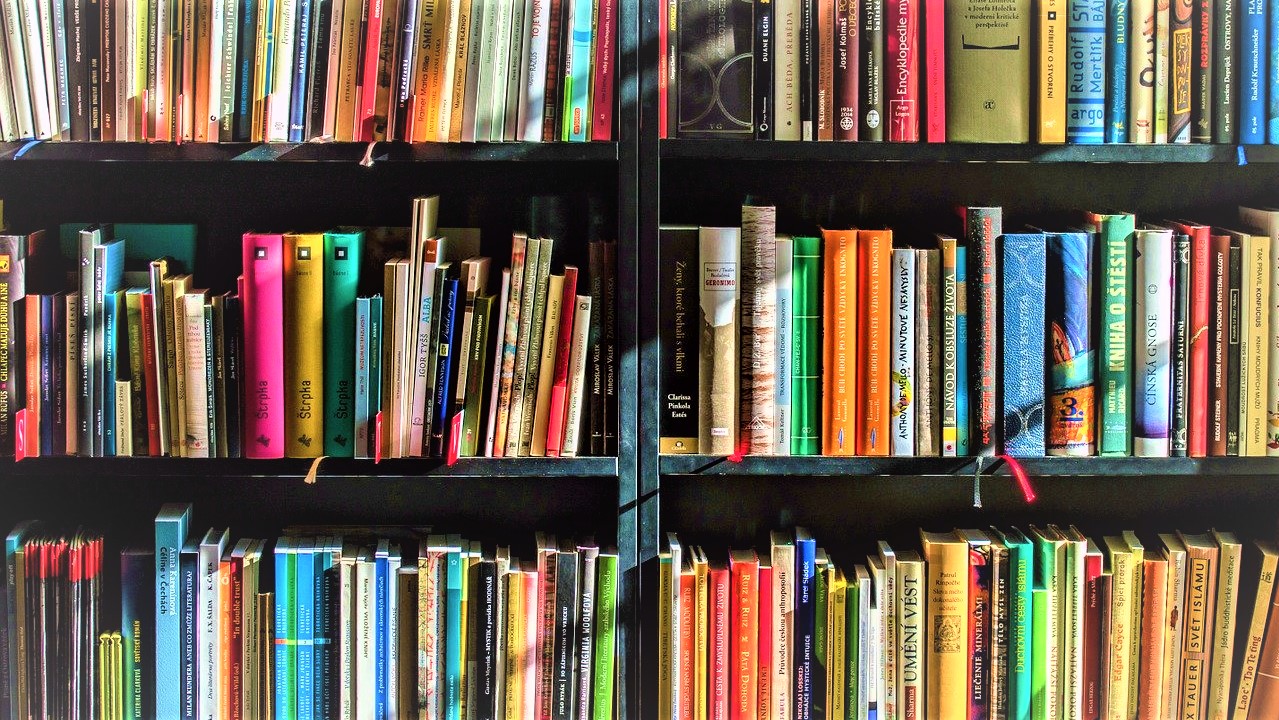 Imagen ilustrativa de un librero random - (CASI) LITERAL